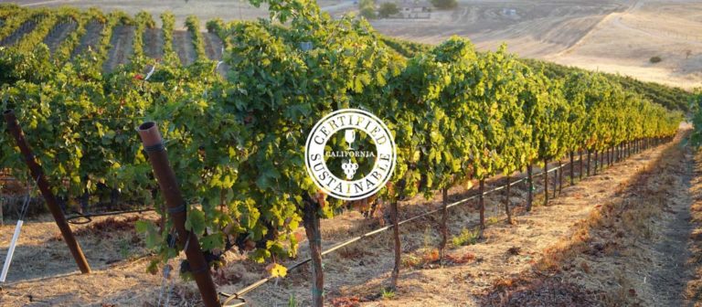 Our Story | Maddalena Wines | Riboli Family Wines