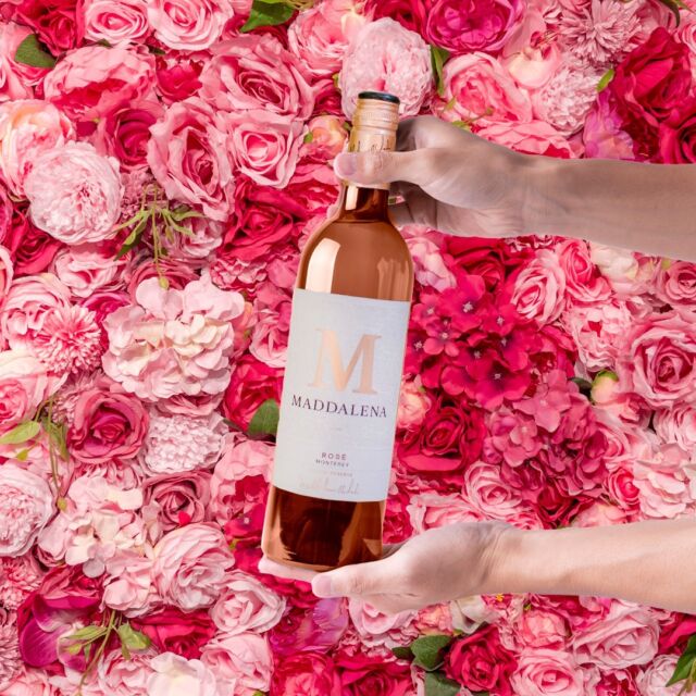 Home | Maddalena Wines | Riboli Family Wines